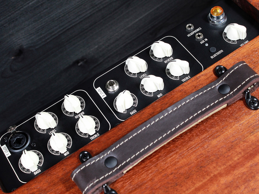 Circa 74 Acoustic 2 in 1 Acoustic / Vocal Amplifier / Taylor Guitars 5 ...